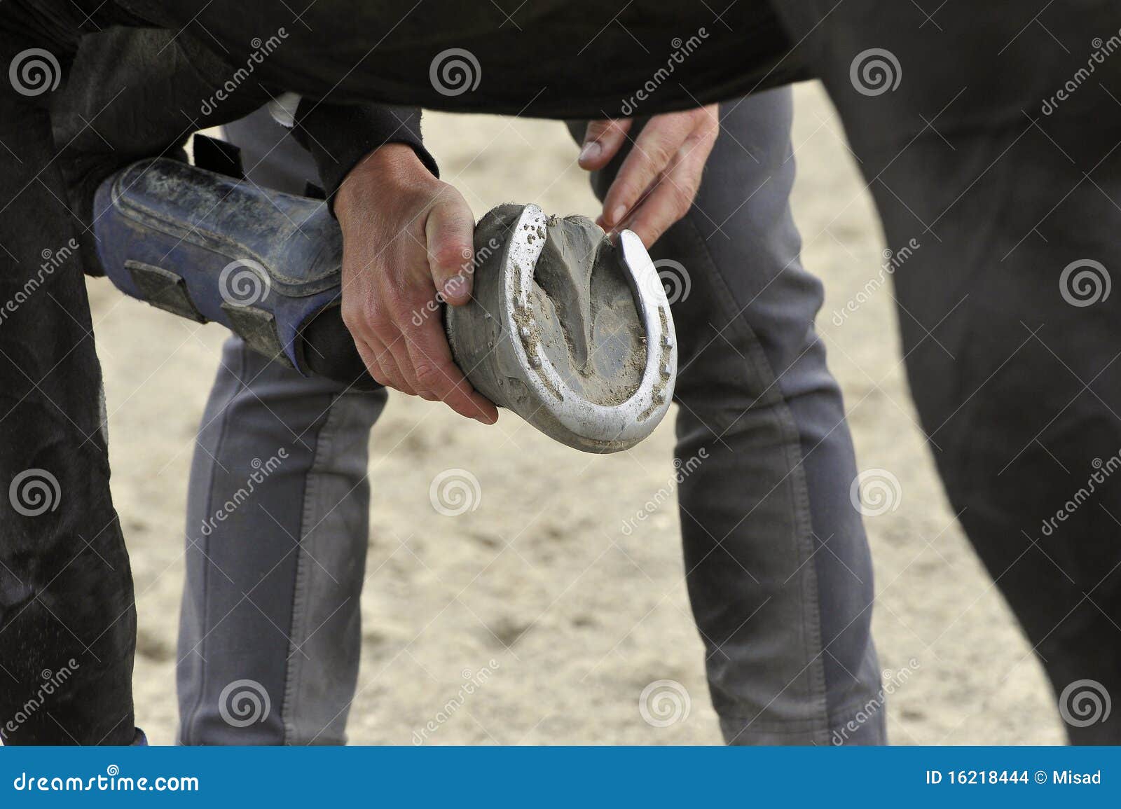 Hoef stock foto. Image of hoef, landbouw, paard, ijzer - 16218444