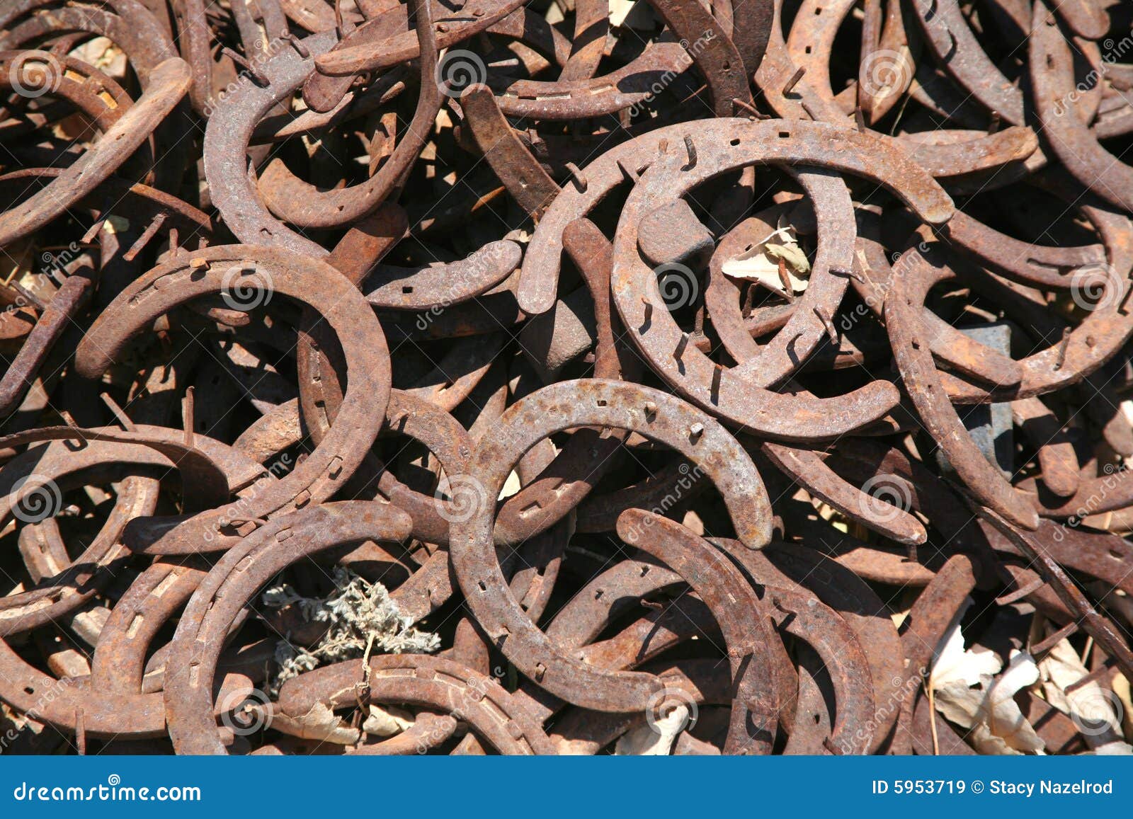 Hoefijzer achtergrond stock afbeelding. Image of geluk - 5953719