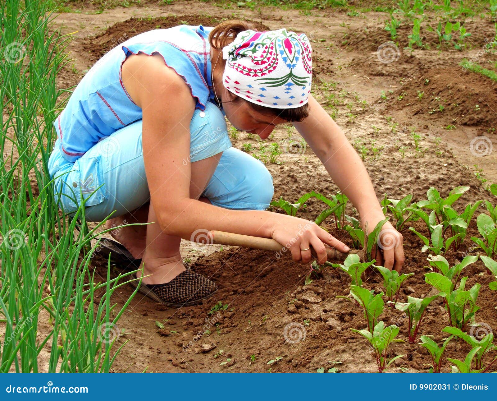 Hoeing stock image. Image of caring, cropping, active - 9902031