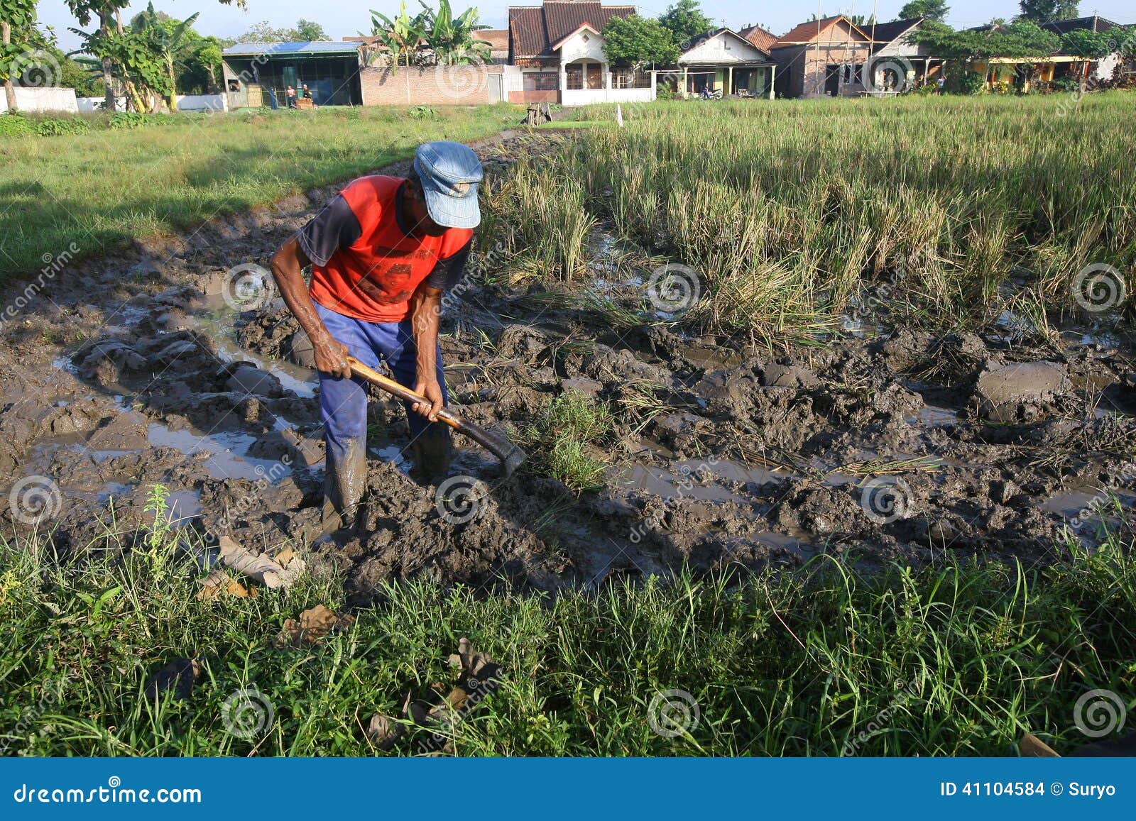 Hoeing the field editorial stock image. Image of following - 41104584