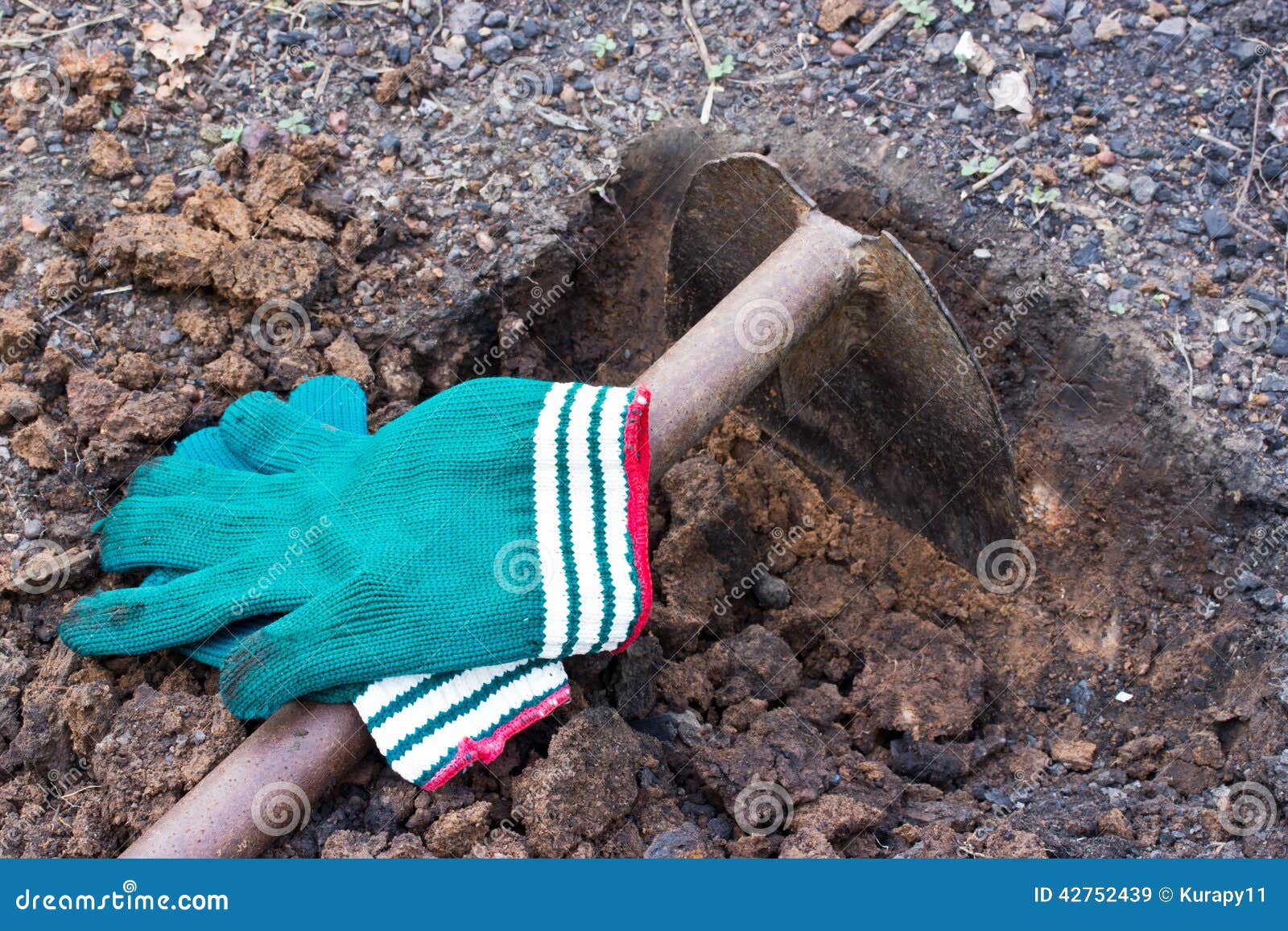 Hoeing and tilling stock image. Image of lawn, shovel - 42752439