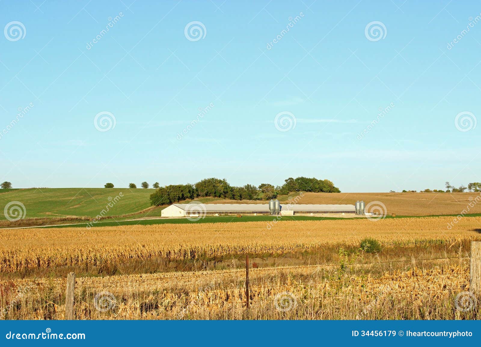 Hog Confinement stock image. Image of business, confined - 34456179
