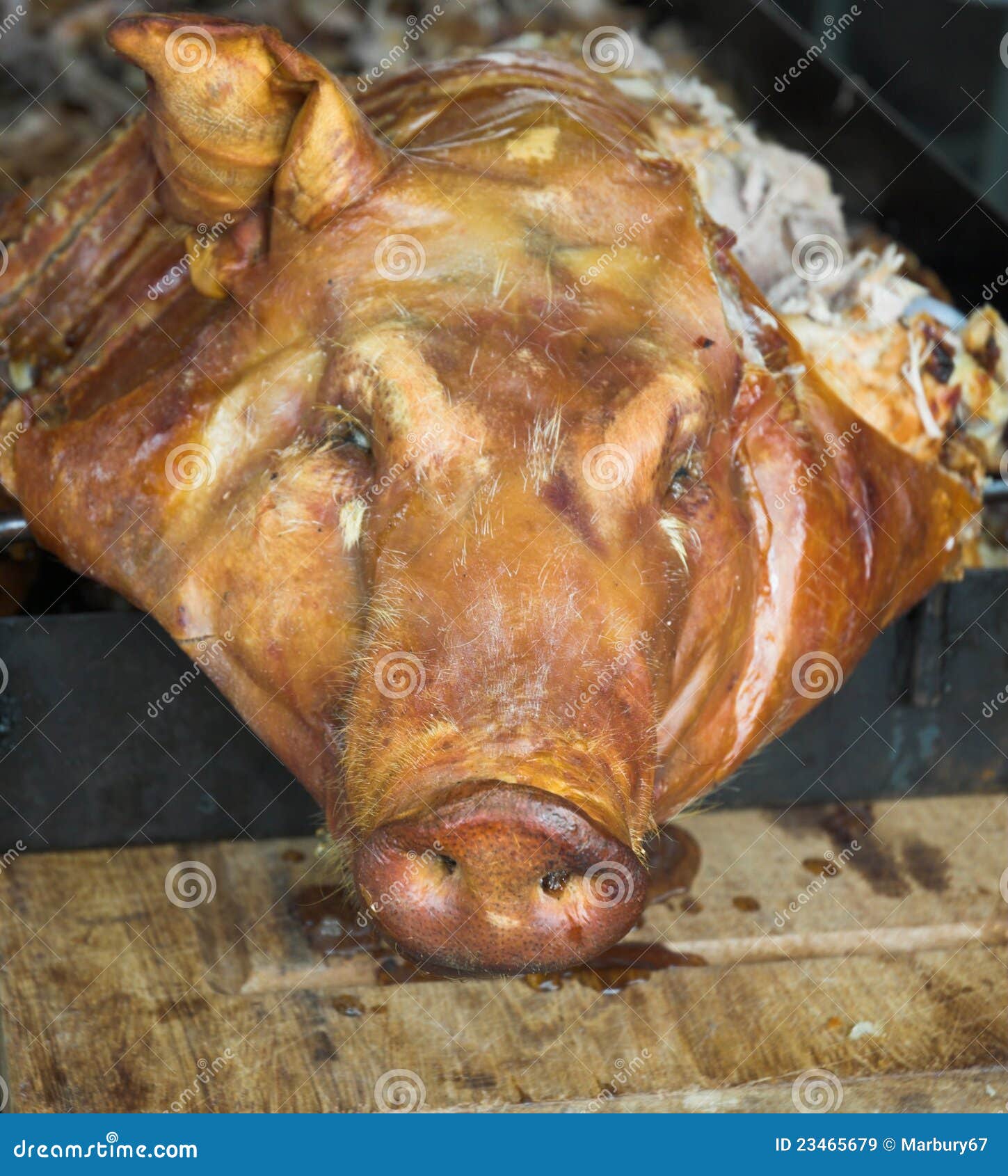 Hog Roast stock image. Image of banquet, animal, snout - 23465679