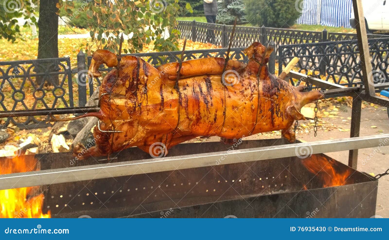 Hog on a spit stock photo. Image of turns, started, ndelicious - 76935430