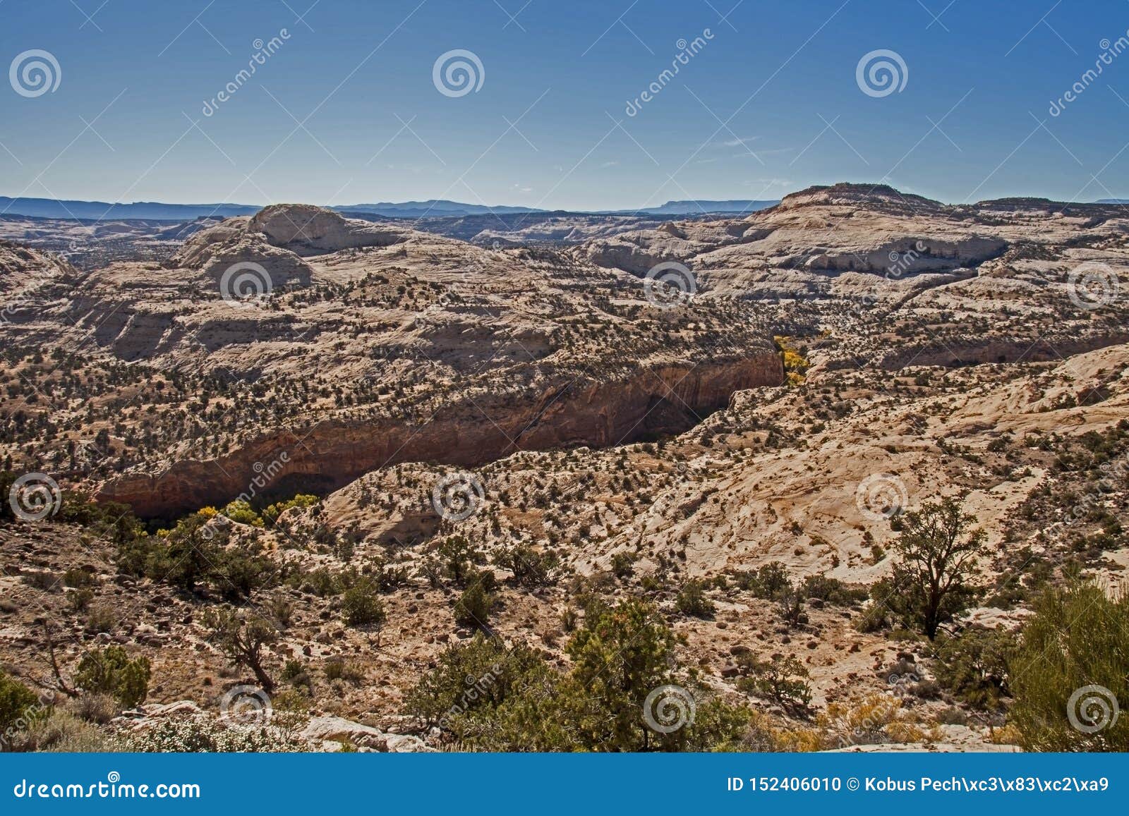 The Hogback 2 stock photo. Image of habitat, colorful - 152406010