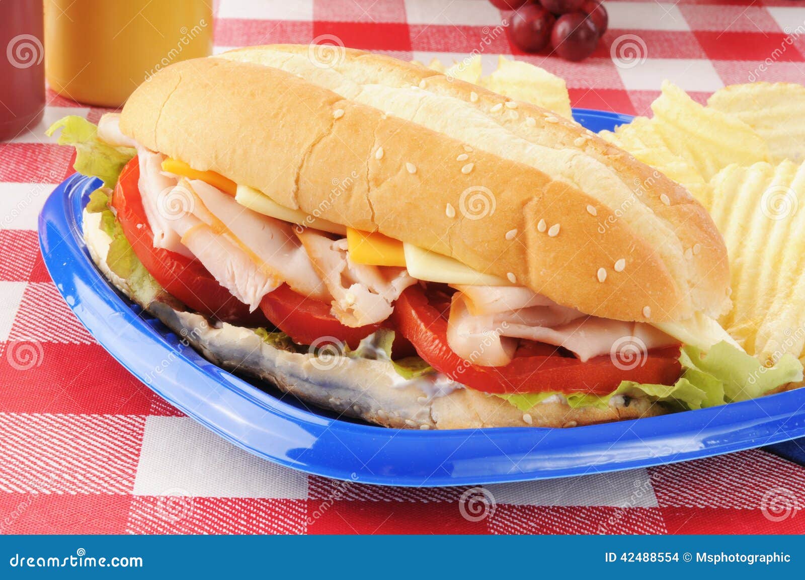 Hogie sandwich stock photo. Image of soft, american, ships - 42488554