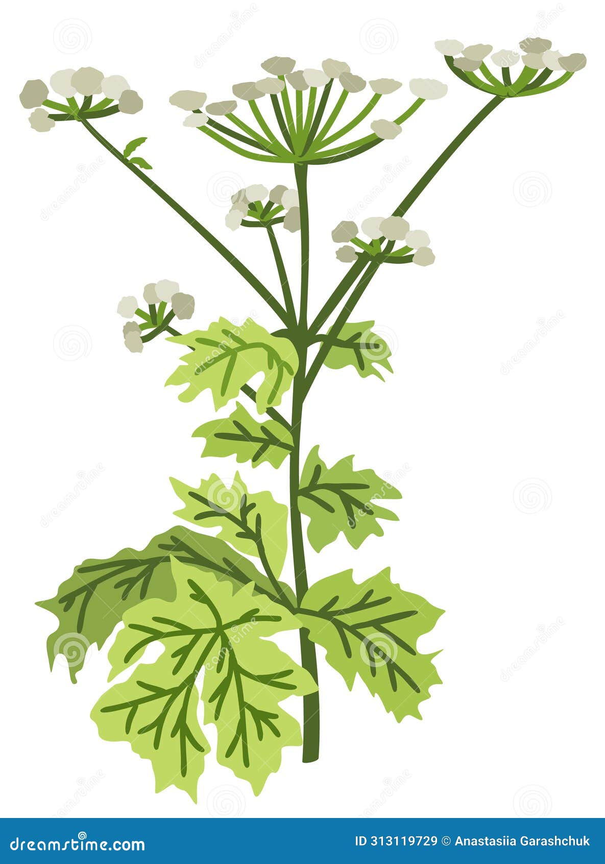 Hogweed Cartoons, Illustrations & Vector Stock Images - 138 Pictures to ...