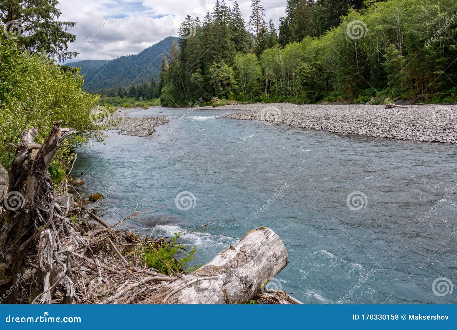 The Hoh River is a River of the Pacific Northwest, Located on the ...