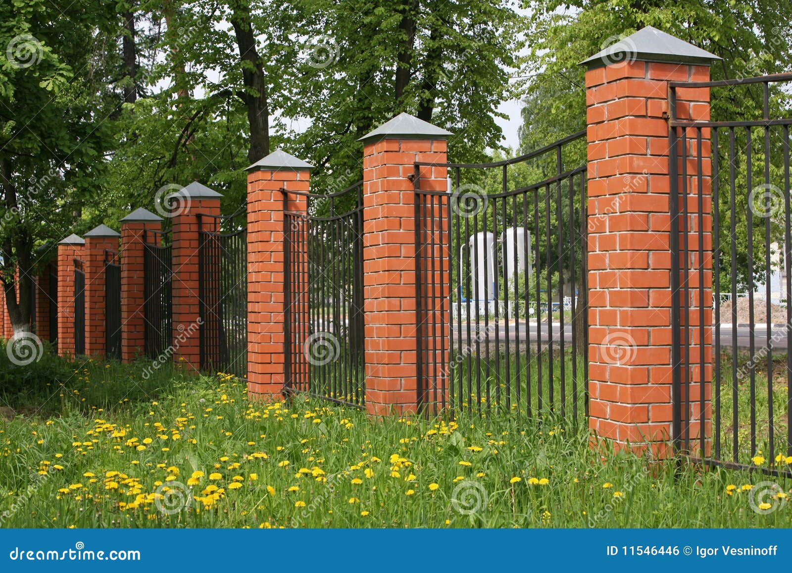 Hoher Zaun stockfoto. Bild von löwenzahn, spalte, grün - 11546446