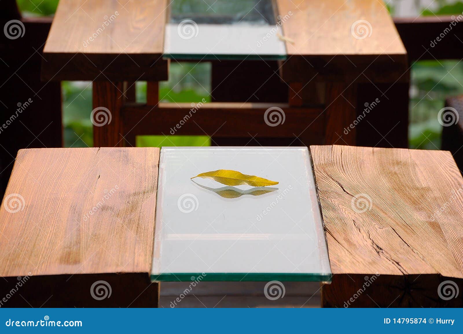 Hoja caida en el vector foto de archivo. Imagen de amarillo - 14795874