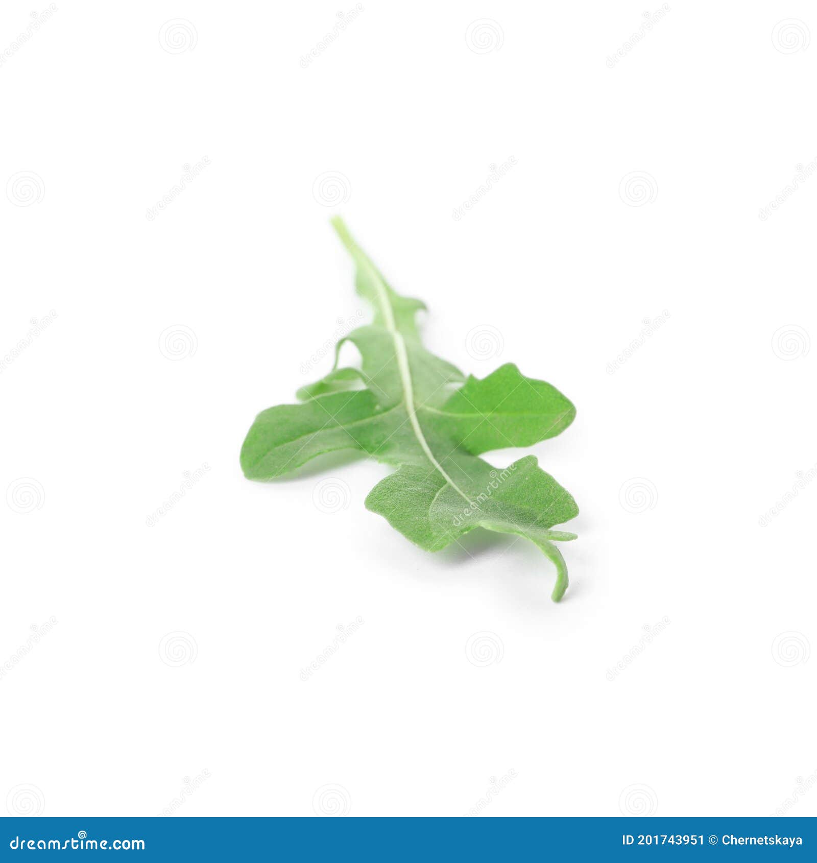 Hoja De Arugula Renovante Aislada En Blanco Imagen de archivo - Imagen ...