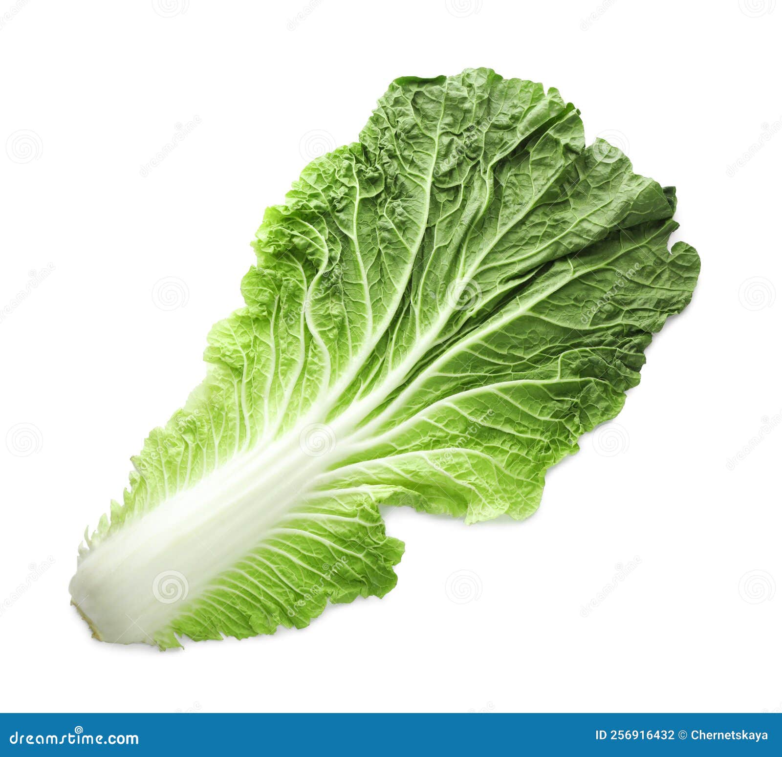 Hoja De Col China Aislada En Blanco Foto de archivo - Imagen de fibra ...