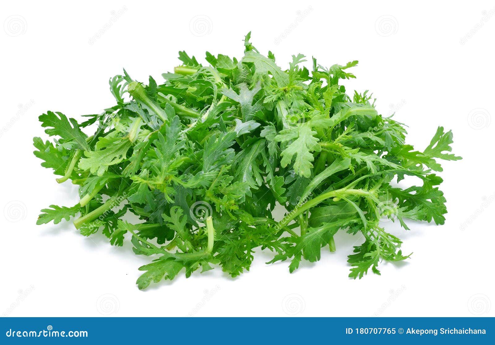 Hoja De Crisantemo Comestible Aislada En Blanco Imagen de archivo ...