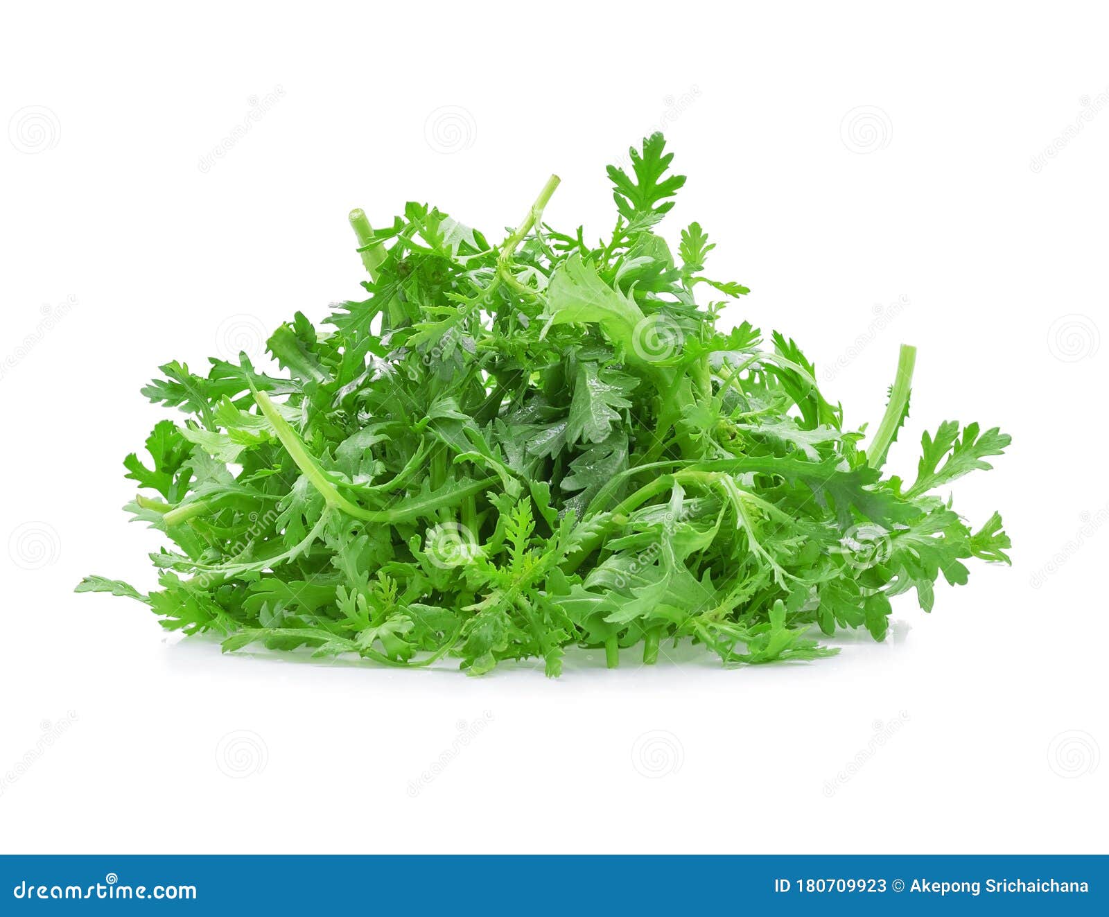 Hoja De Crisantemo Comestible Aislada En Blanco Imagen de archivo ...