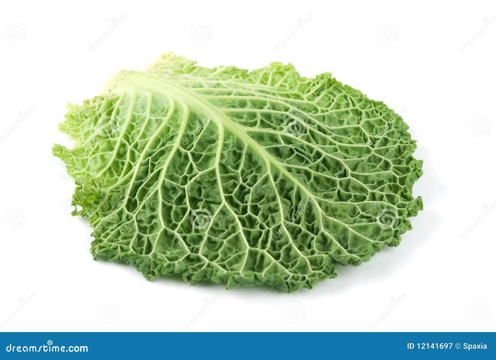 Hoja De La Col De Col Rizada Madura Imagen de archivo - Imagen de ...