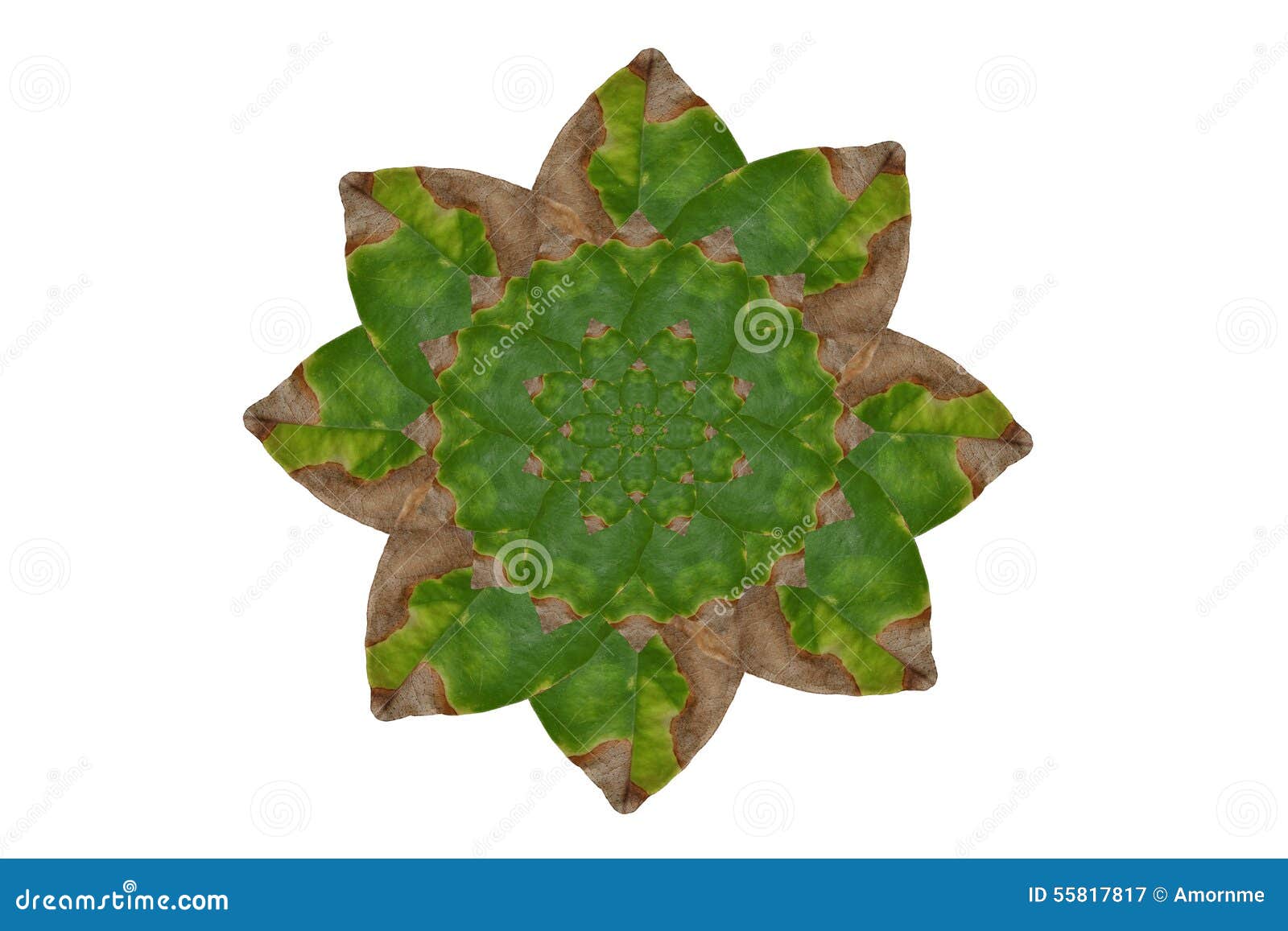 Hoja De La Forma De La Idea Imagen de archivo - Imagen de follaje, cubo ...