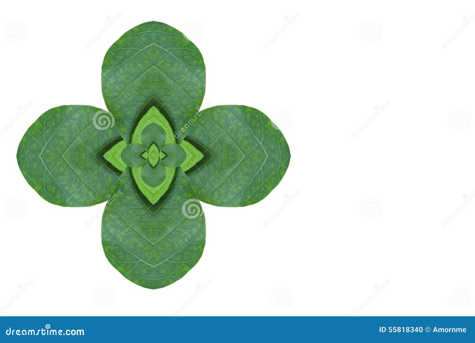 Hoja De La Forma De La Idea Foto de archivo - Imagen de trepador ...