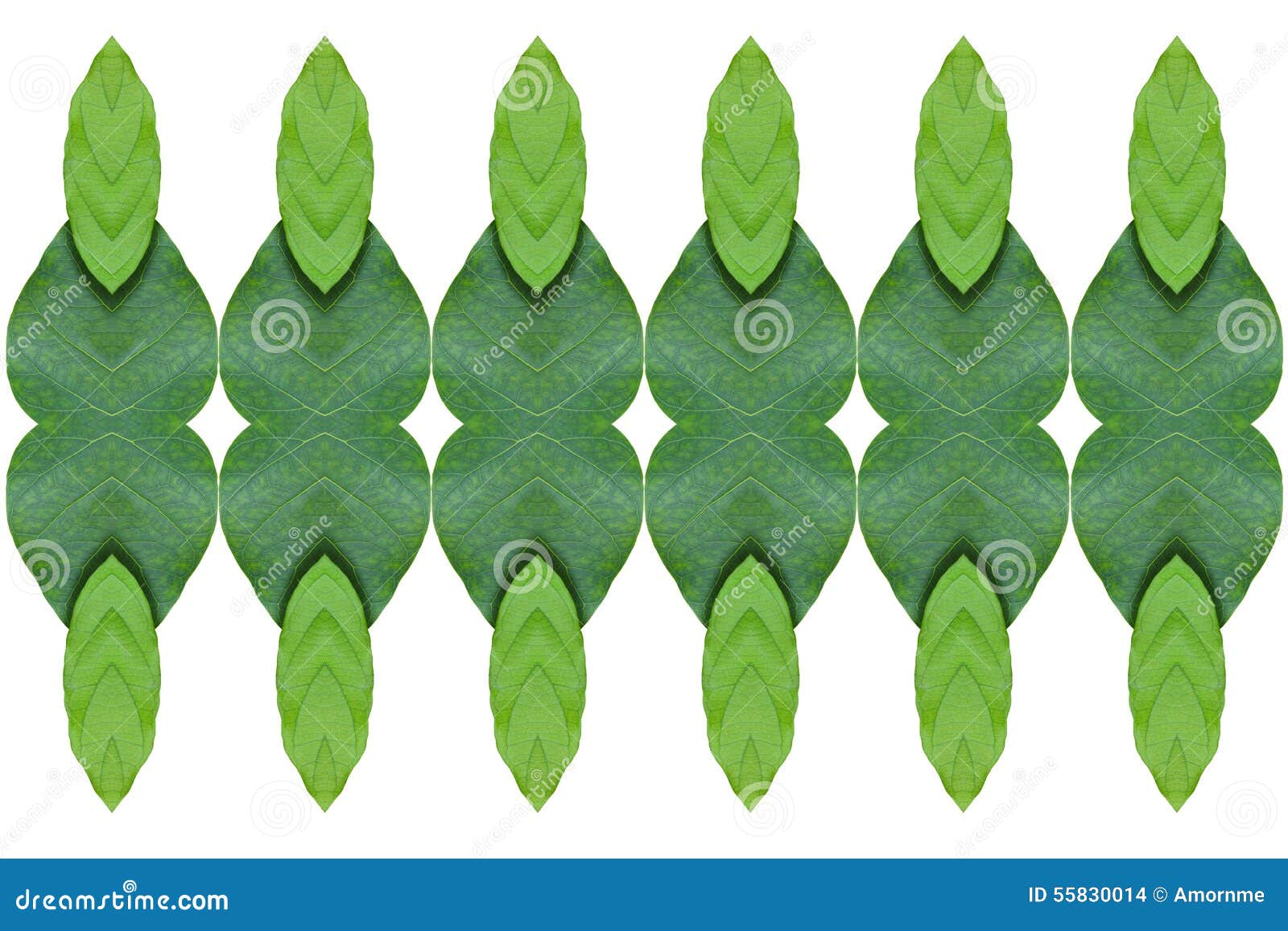 Hoja De La Forma De La Idea Foto de archivo - Imagen de forma, idea ...