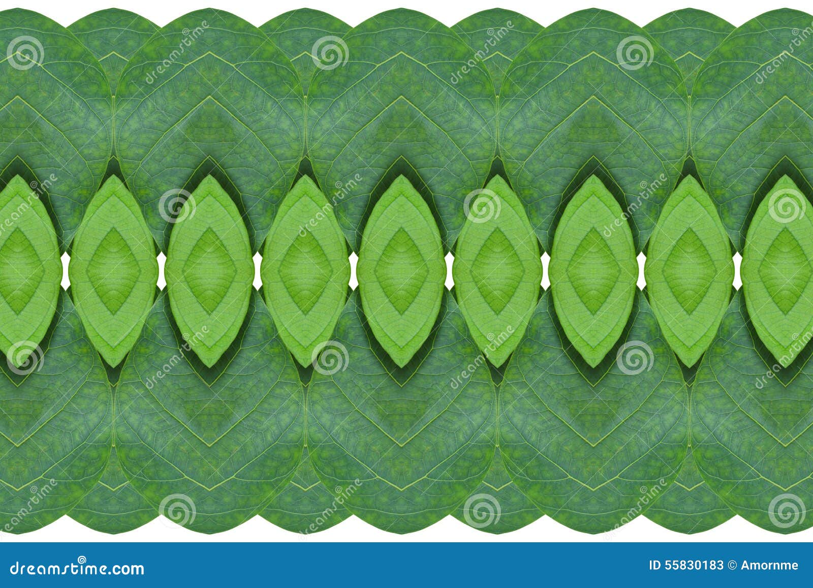 Hoja De La Forma De La Idea Imagen de archivo - Imagen de verdor, verde ...