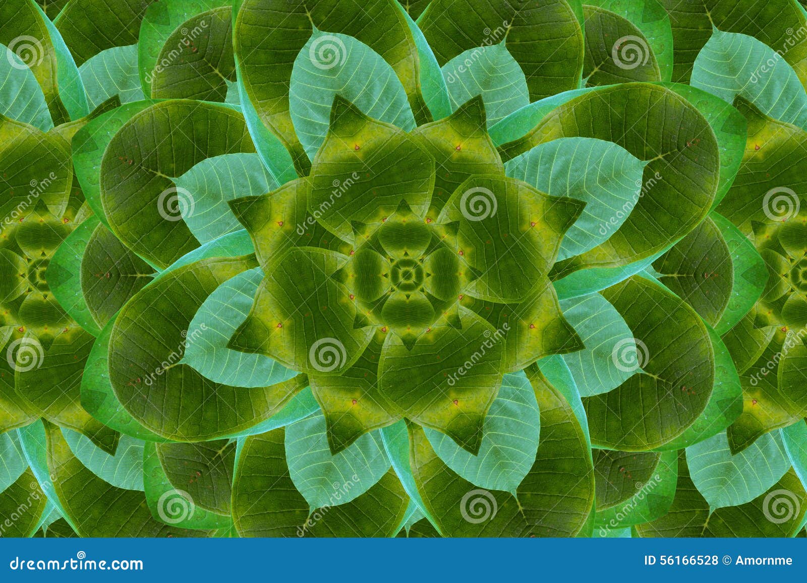 Hoja De La Forma De La Idea Foto de archivo - Imagen de viejo, verde ...