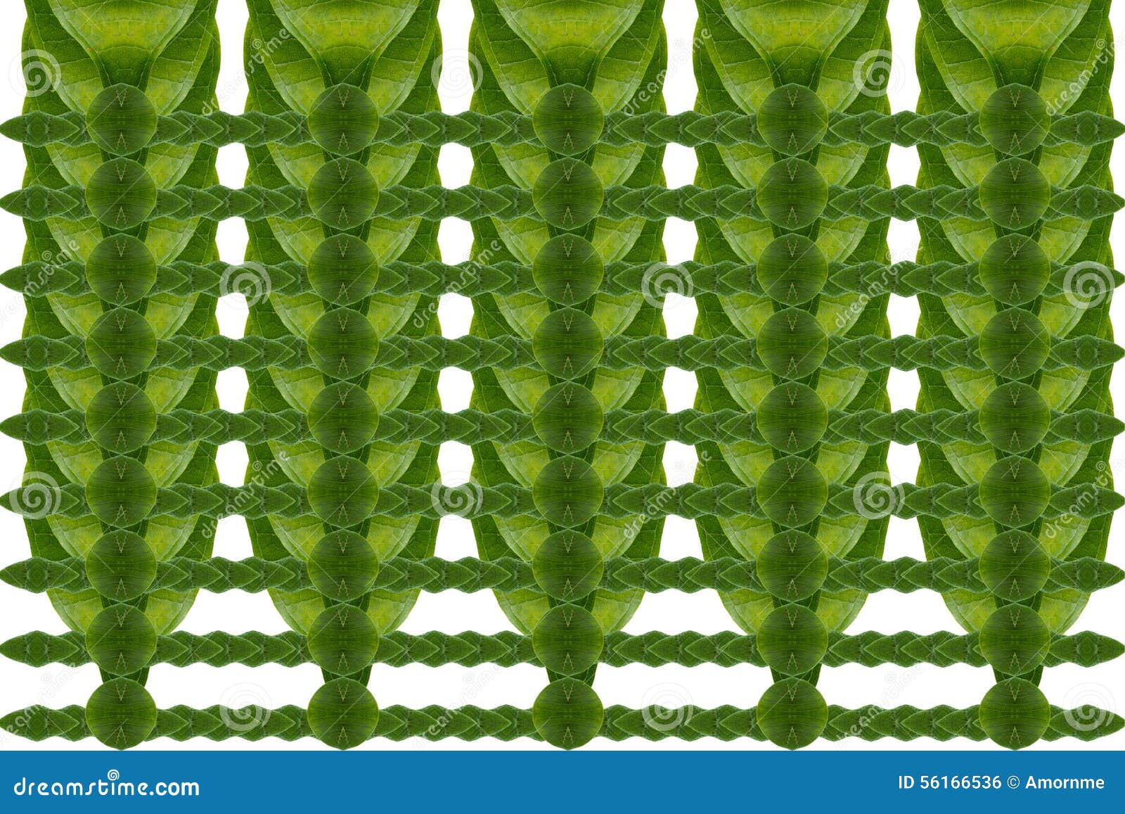 Hoja De La Forma De La Idea Foto de archivo - Imagen de verdor ...