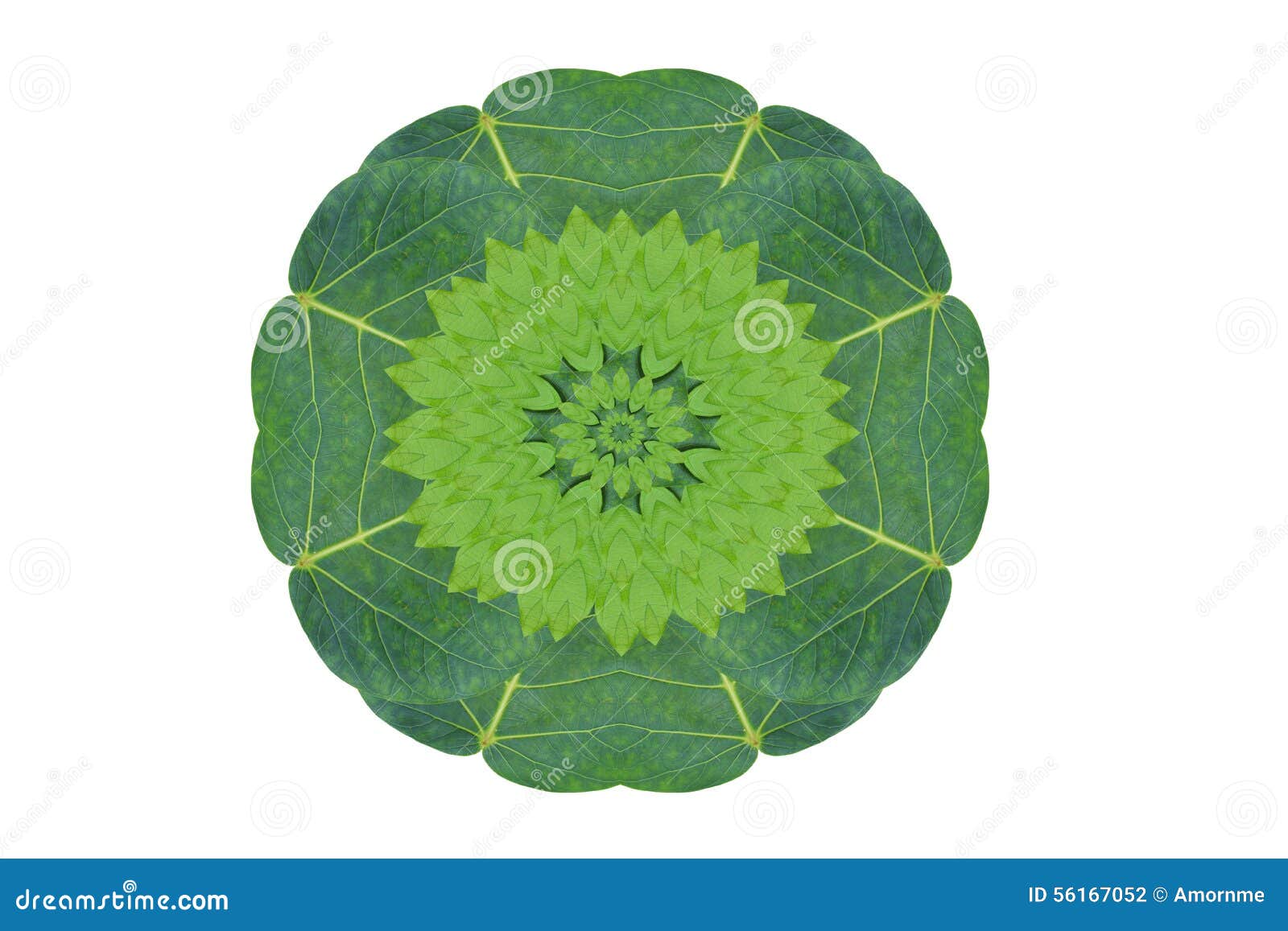 Hoja De La Forma De La Idea Foto de archivo - Imagen de verdor, cubo ...