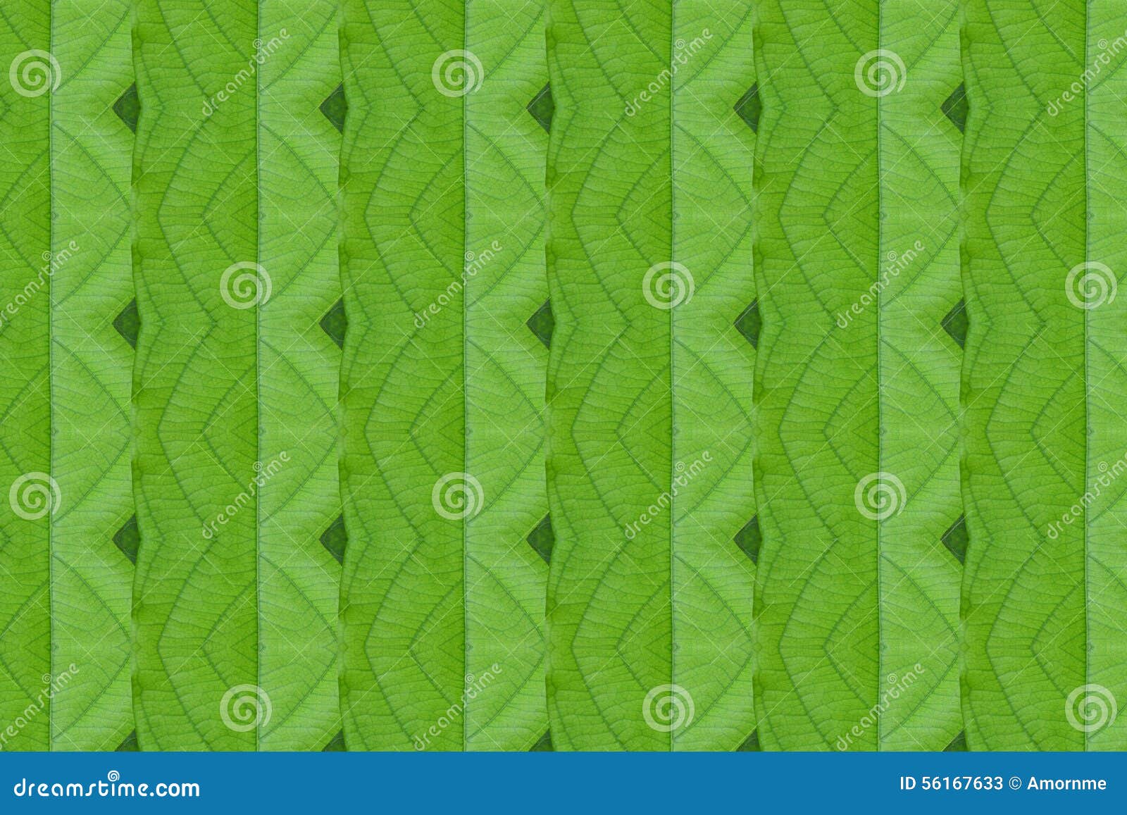 Hoja De La Forma De La Idea Imagen de archivo - Imagen de crezca, idea ...