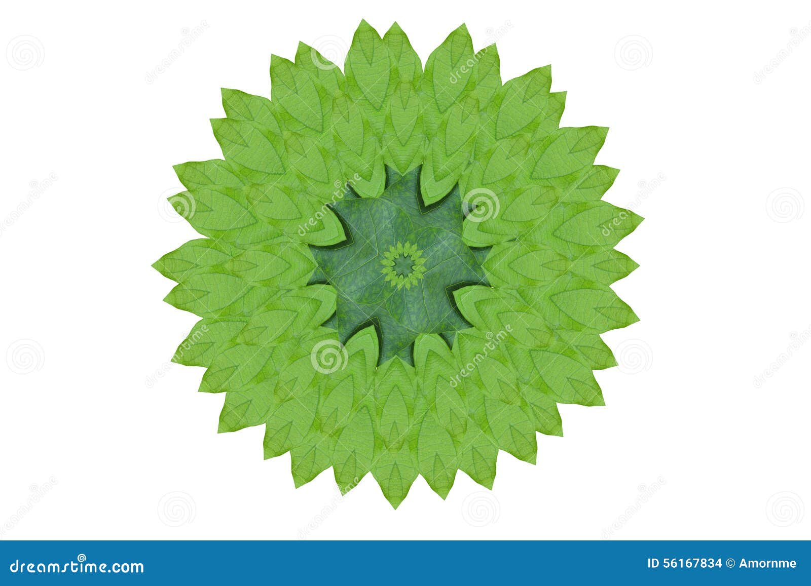 Hoja De La Forma De La Idea Foto de archivo - Imagen de macro, concepto ...