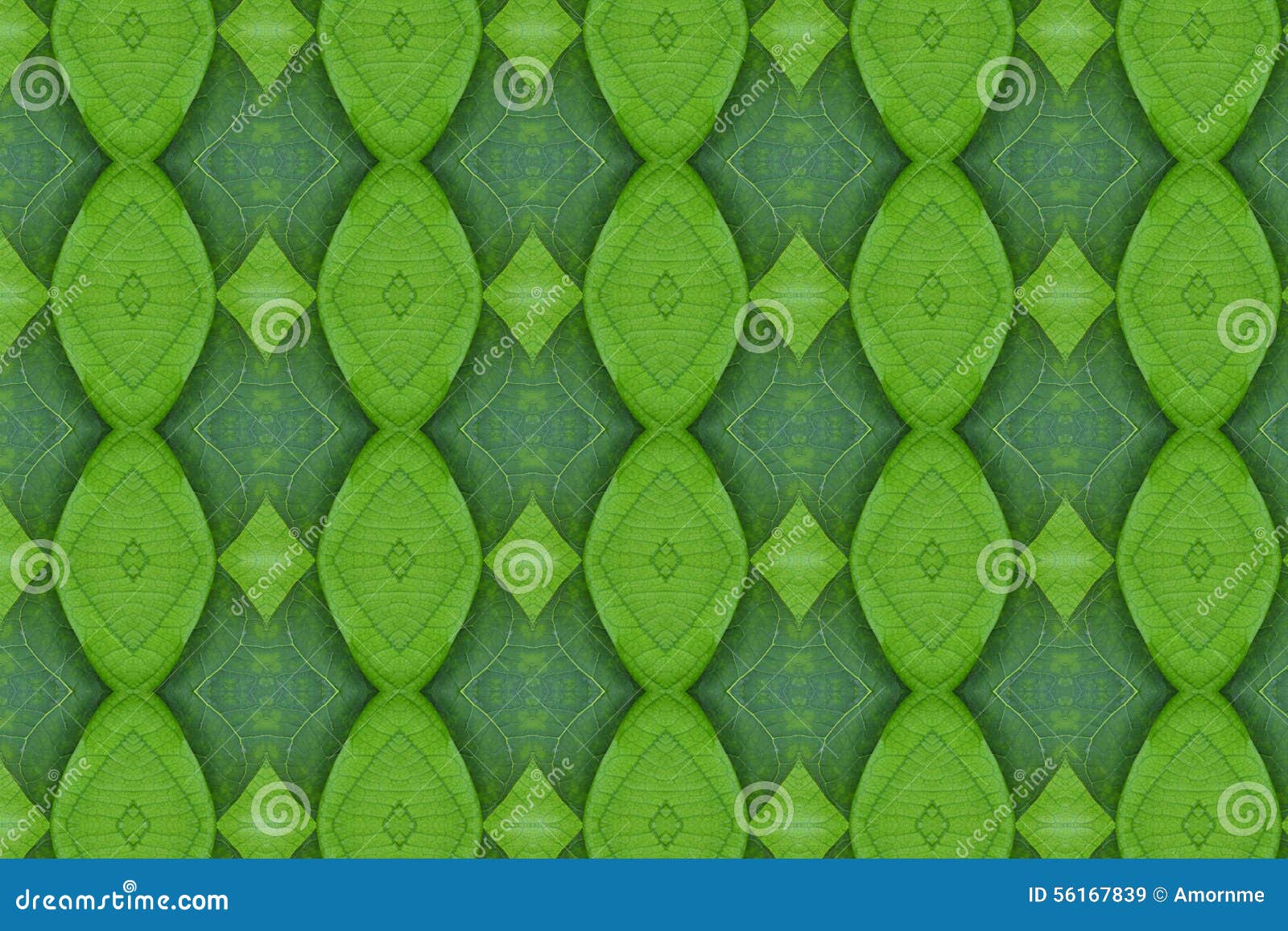 Hoja De La Forma De La Idea Imagen de archivo - Imagen de flor ...