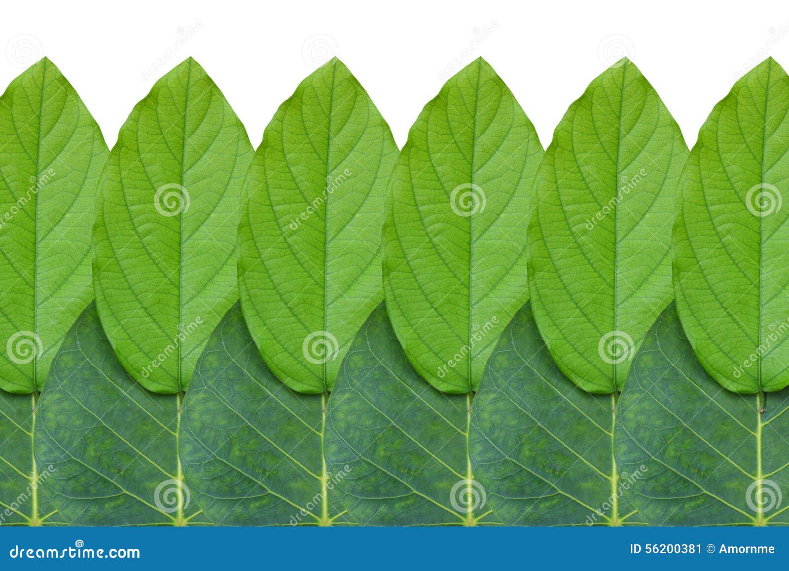 Hoja De La Forma De La Idea Imagen de archivo - Imagen de objeto ...