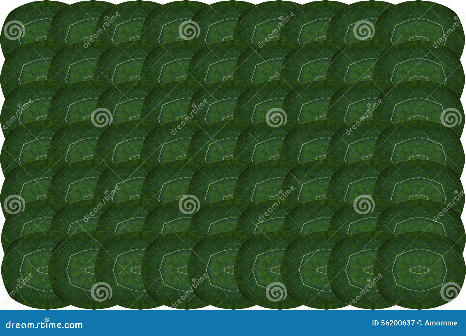 Hoja De La Forma De La Idea Imagen de archivo - Imagen de fresco ...