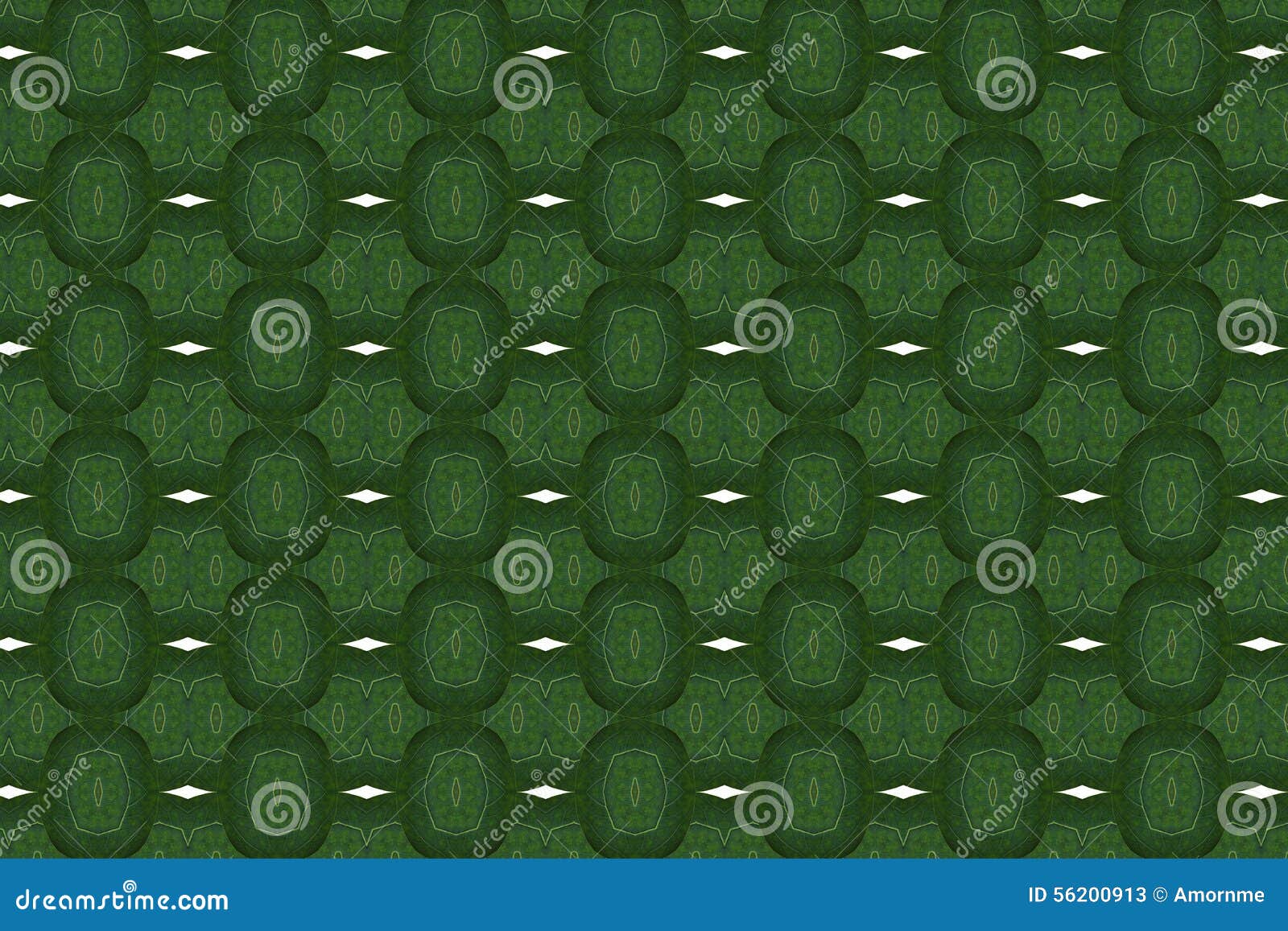 Hoja De La Forma De La Idea Imagen de archivo - Imagen de modelo ...