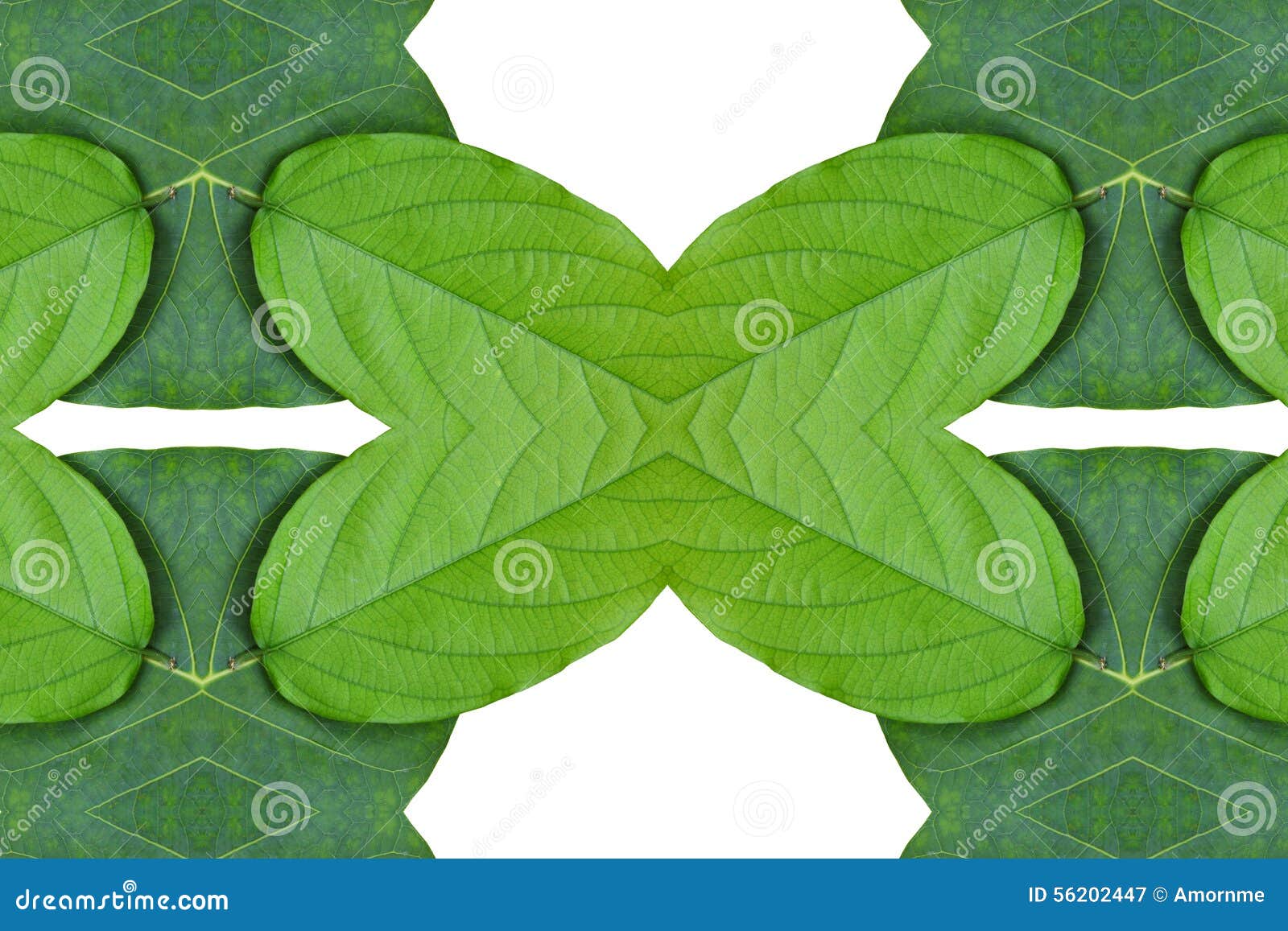 Hoja De La Forma De La Idea Imagen de archivo - Imagen de marco ...