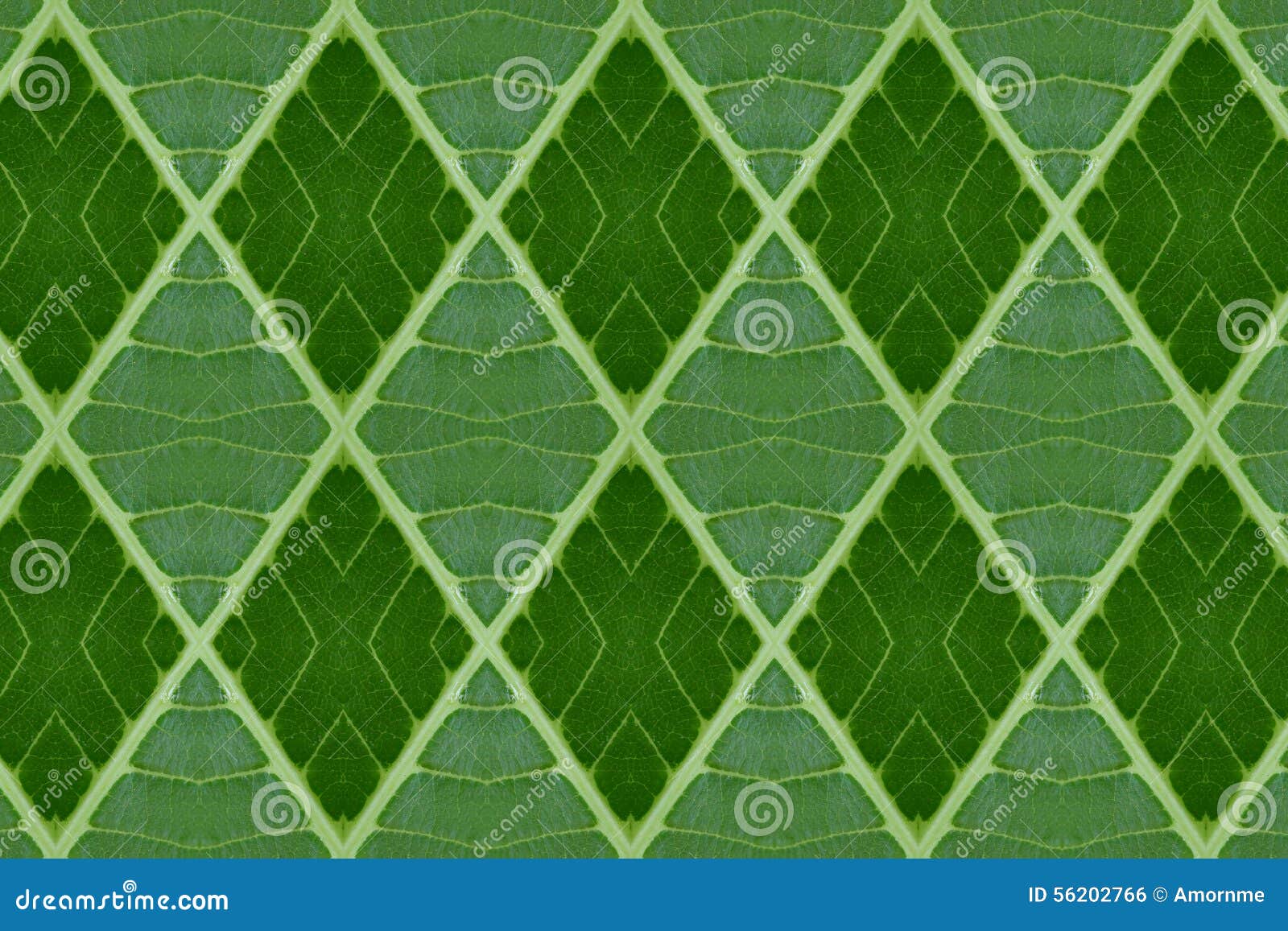 Hoja De La Forma De La Idea Foto de archivo - Imagen de frontera ...