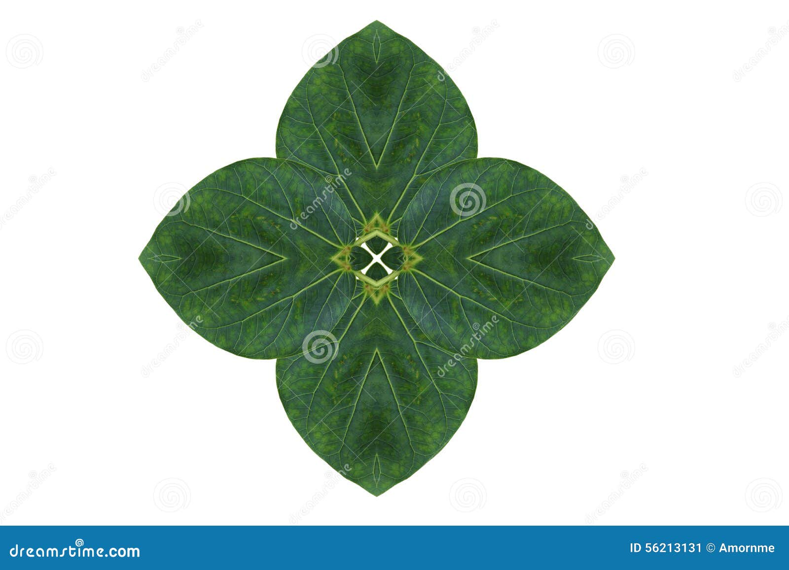 Hoja De La Forma De La Idea Imagen de archivo - Imagen de crecimiento ...