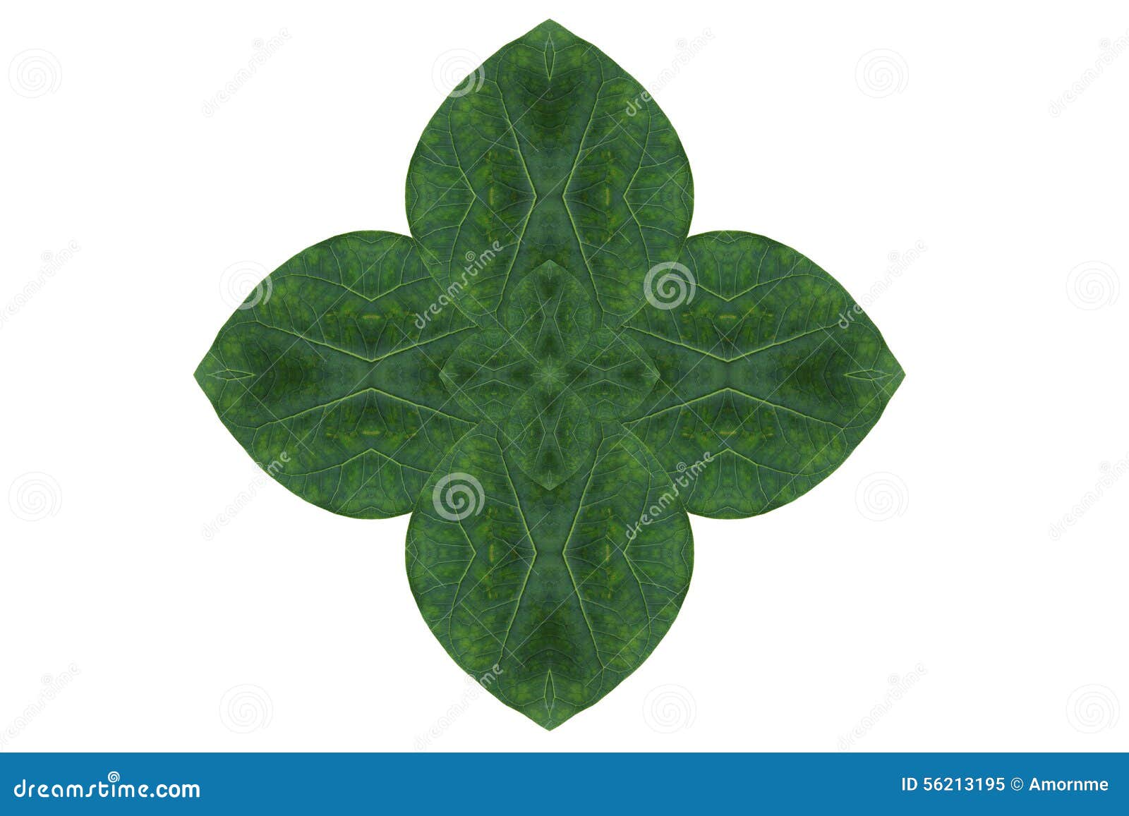 Hoja De La Forma De La Idea Imagen de archivo - Imagen de verdor, hoja ...