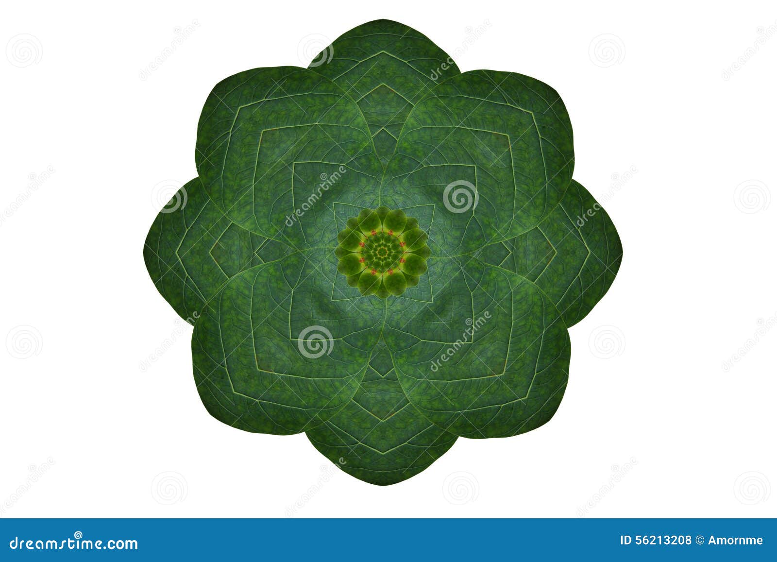 Hoja De La Forma De La Idea Foto de archivo - Imagen de crezca ...