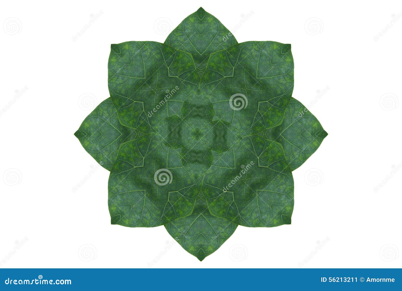 Hoja De La Forma De La Idea Imagen de archivo - Imagen de forma ...