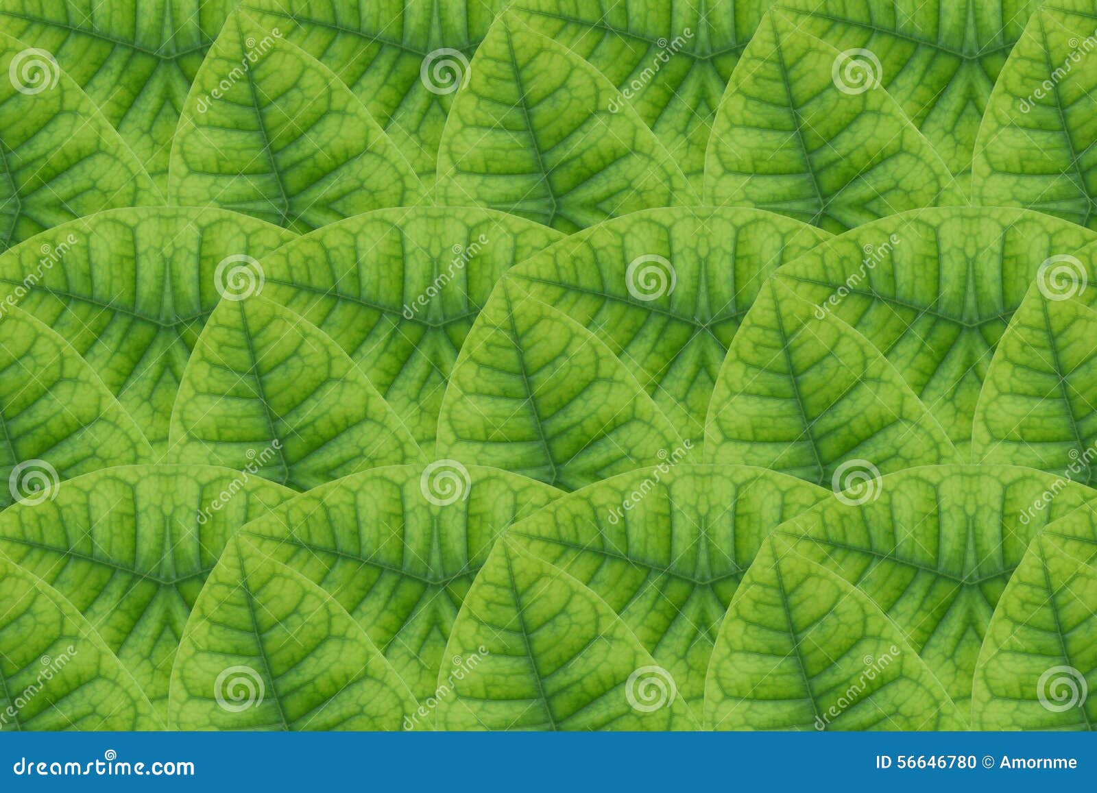 Hoja De La Forma De La Idea Foto de archivo - Imagen de elemento, flor ...