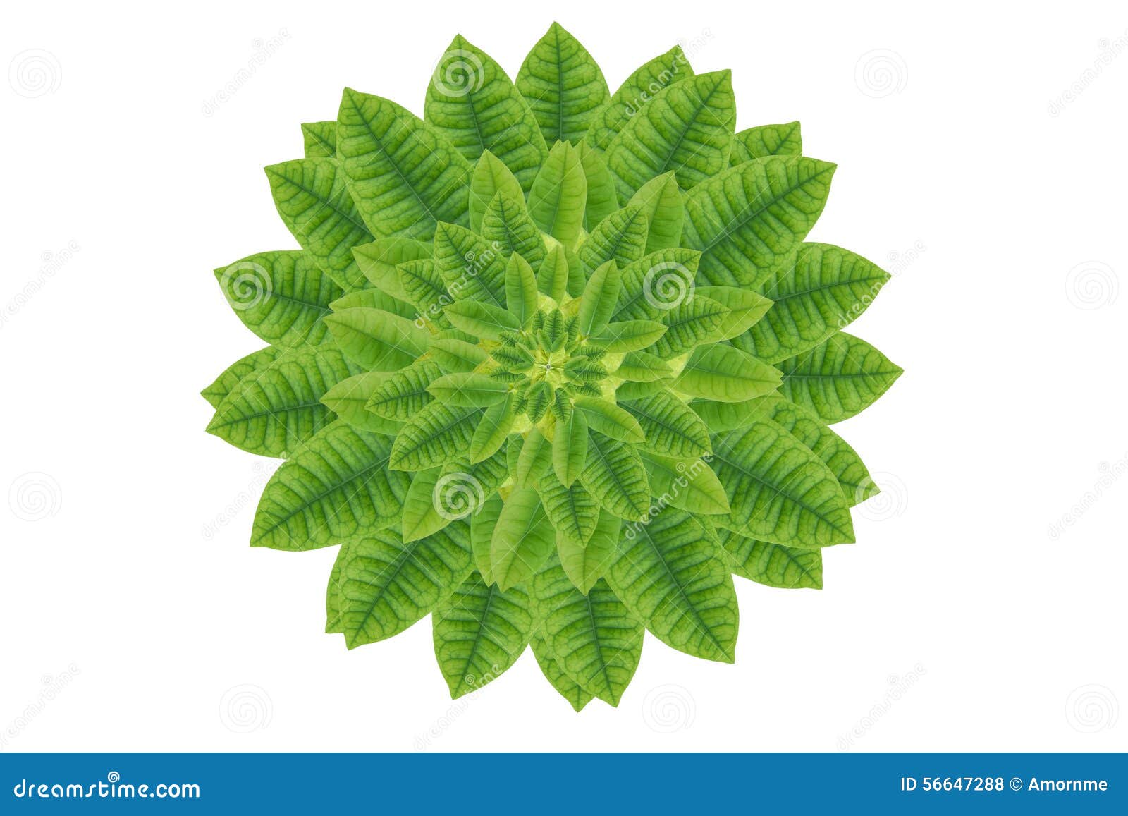 Hoja De La Forma De La Idea Foto de archivo - Imagen de concepto, verde ...