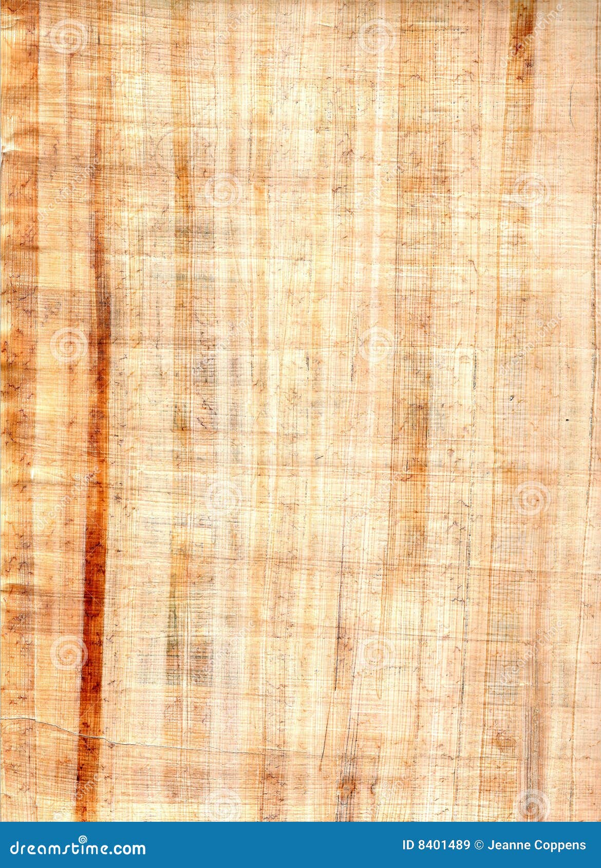 Hoja del papiro. imagen de archivo. Imagen de egipcio - 8401489