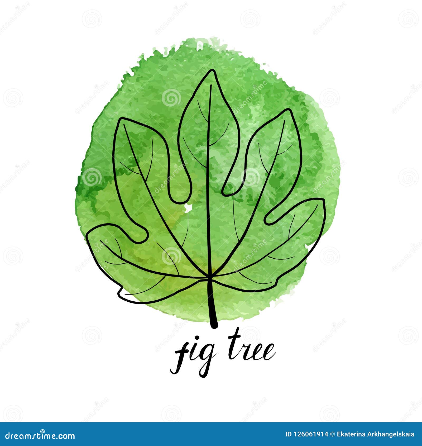 Hoja Del Vector De La Higuera Ilustración del Vector - Ilustración de ...