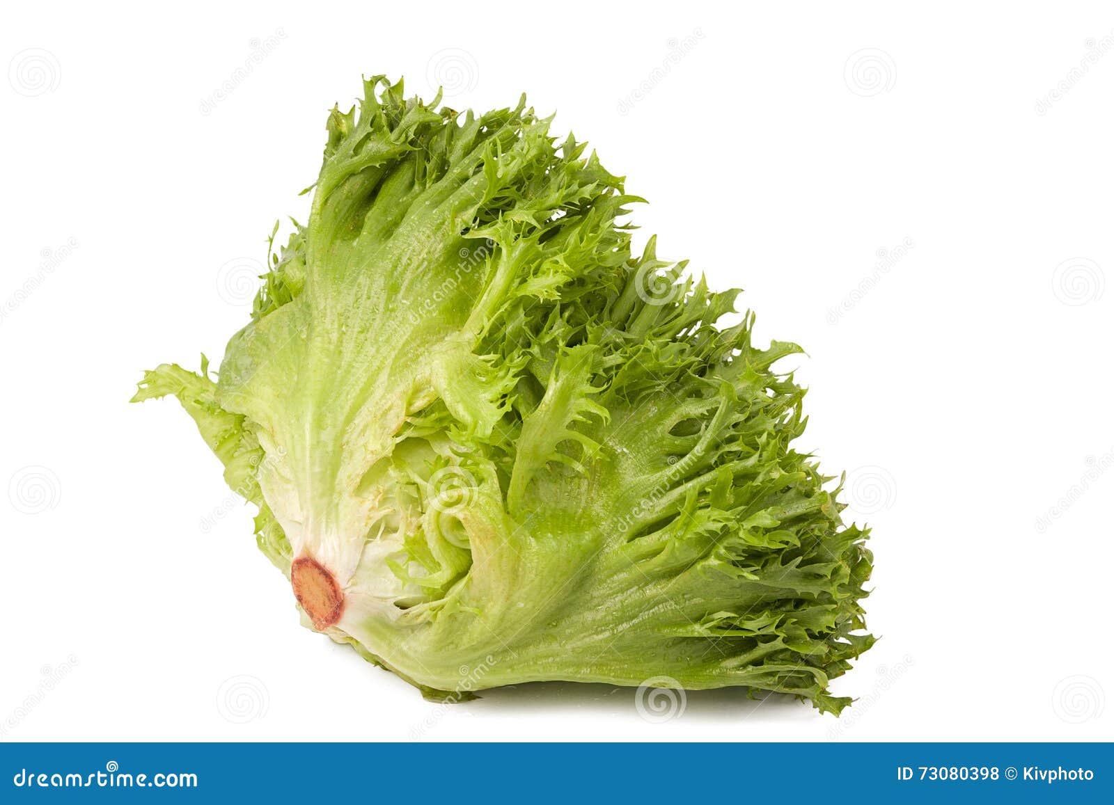 Hoja Del Verde De La Lechuga De Frisee Aislada Foto de archivo - Imagen ...