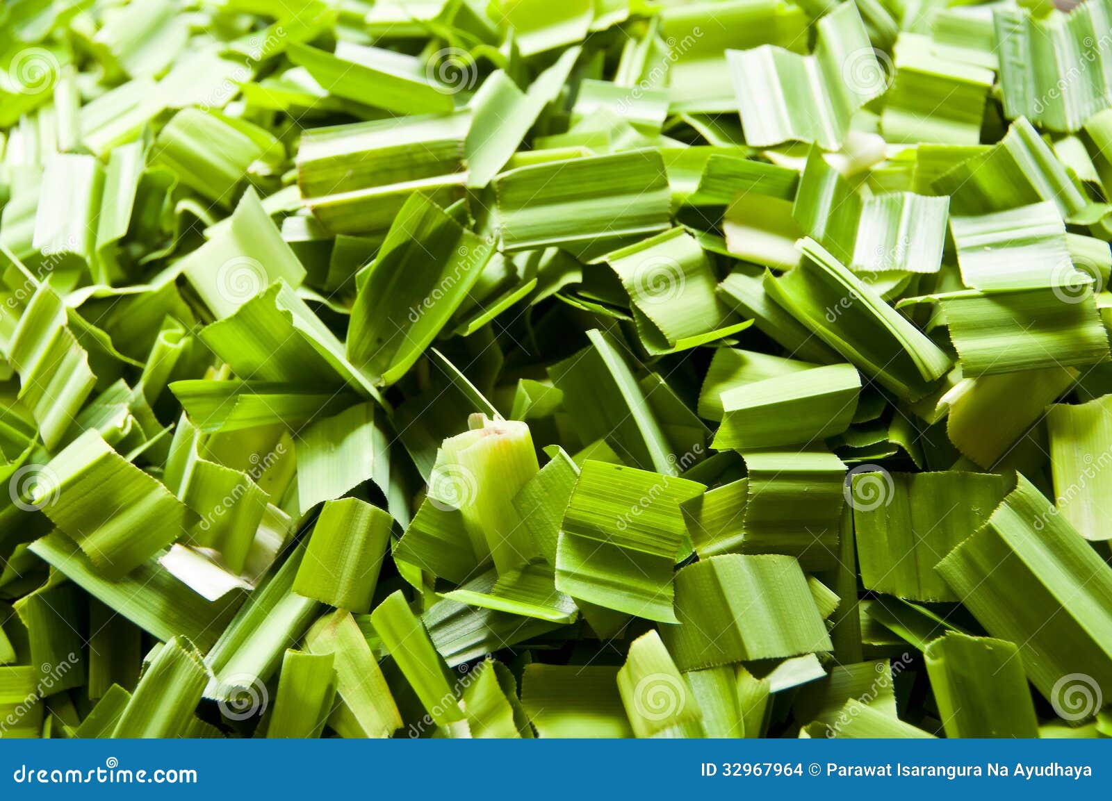 Hoja pandan tajada. foto de archivo. Imagen de fragancia - 32967964