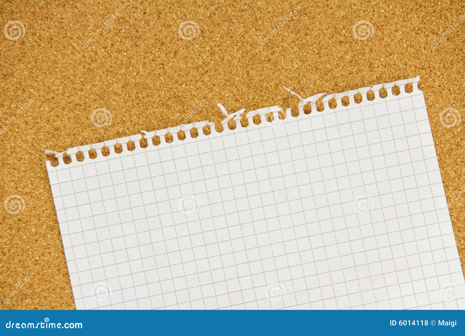 Hoja rasgada foto de archivo. Imagen de objeto, comentario - 6014118