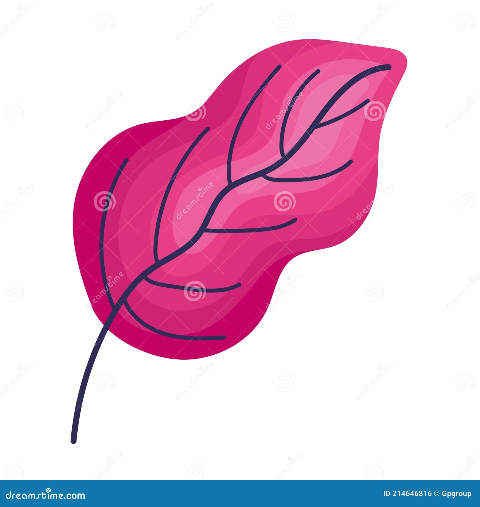 Hoja rosa aislada ilustración del vector. Ilustración de floral - 214646816