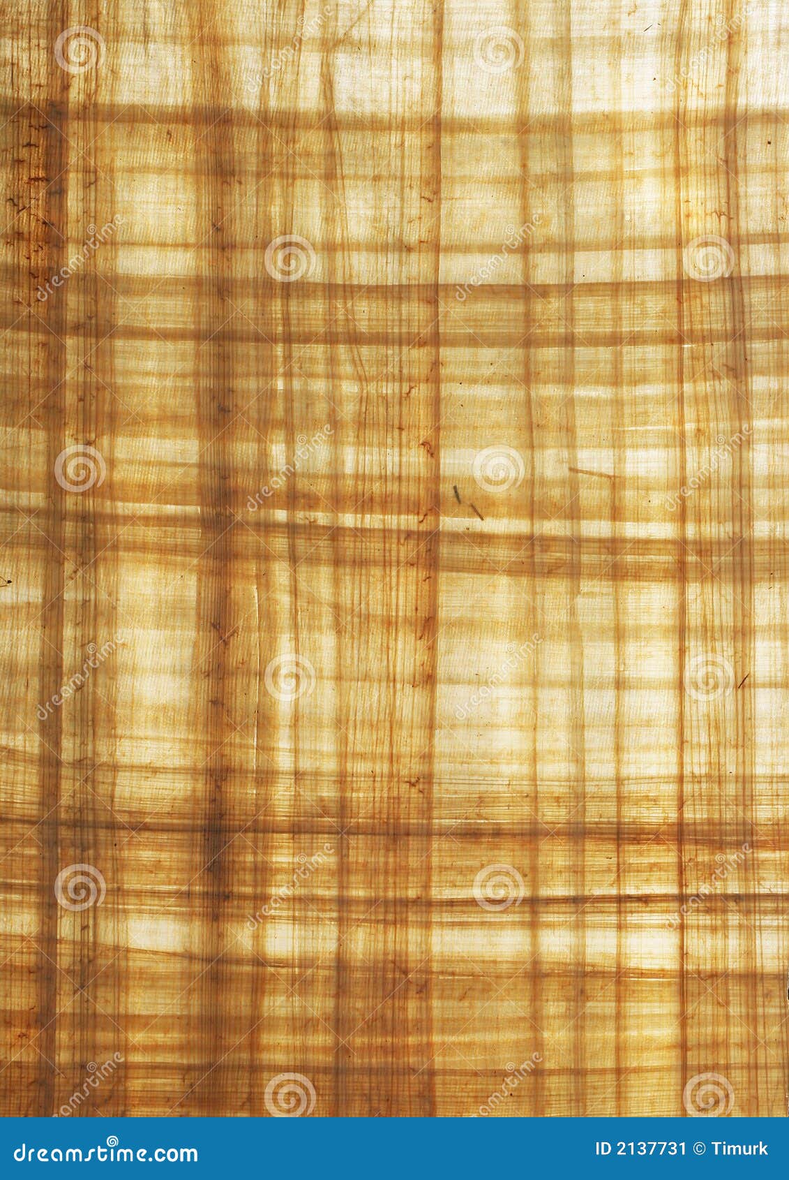 4,503 Hoja Del Papiro Fotos de stock - Fotos libres de regalías de ...