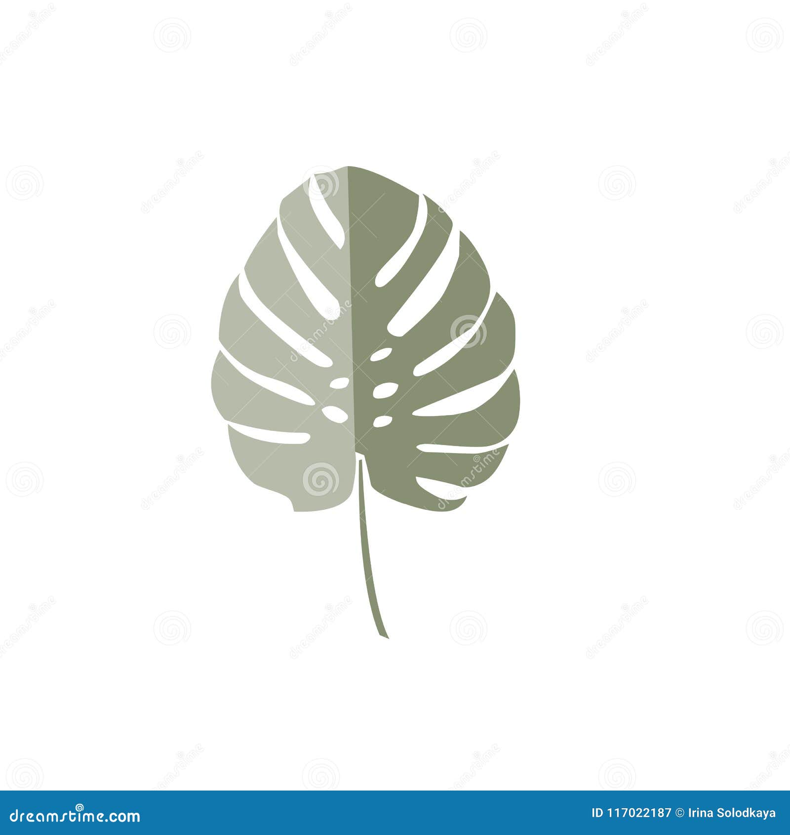 Hoja Tropical Del Monstera Hoja De Palma Verde Del Vector Ilustración ...