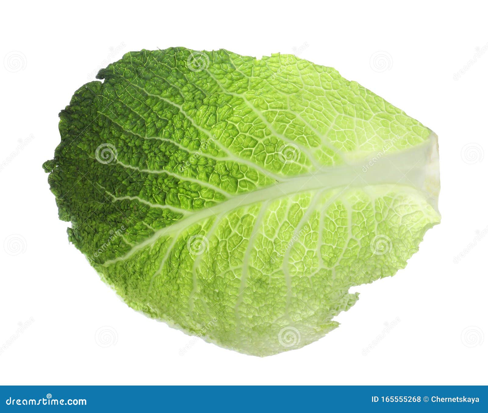 Hoja Verde De Col Salvaje Aislada Foto de archivo - Imagen de culinario ...