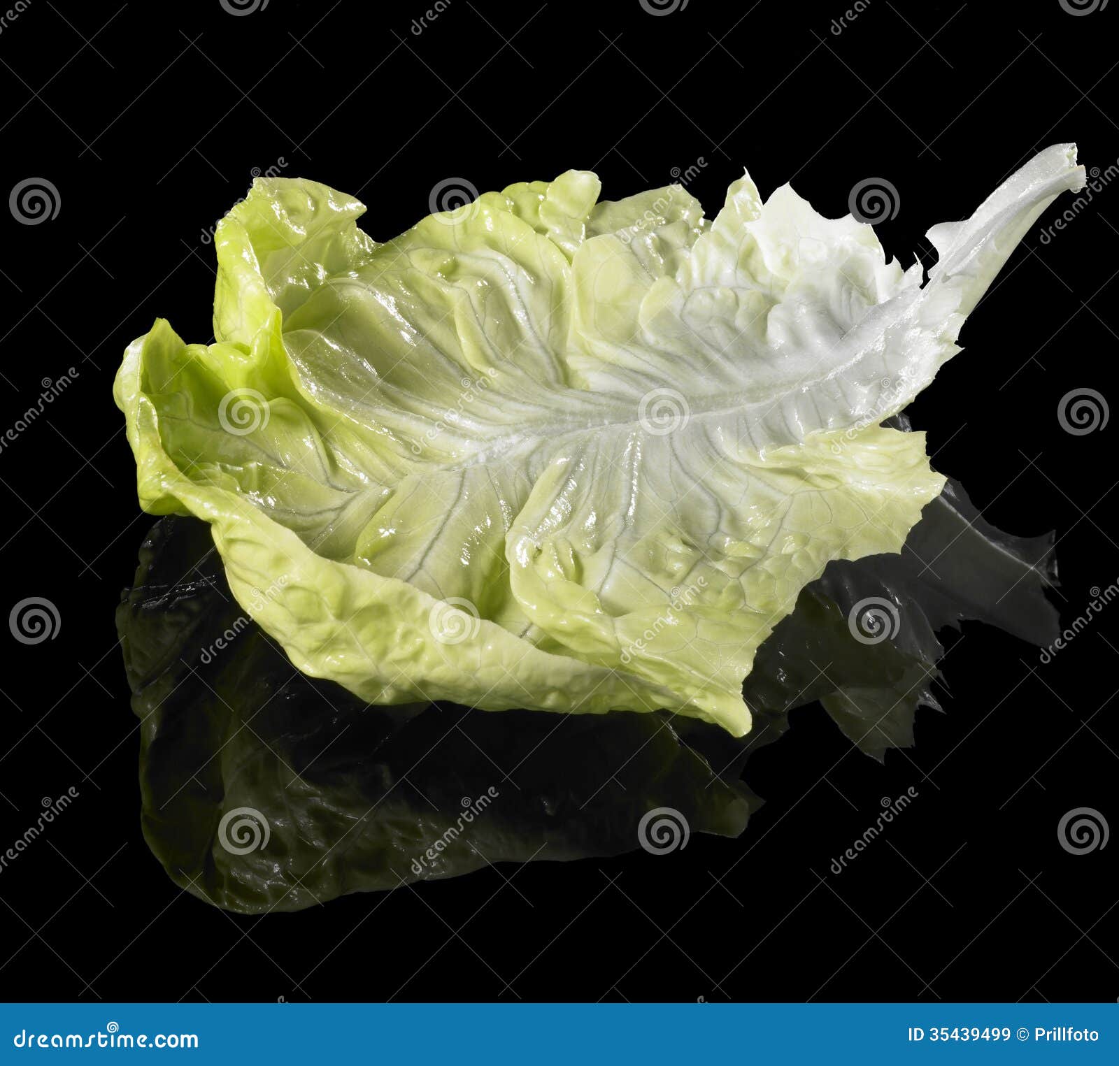 Hoja Verde Fresca De La Lechuga Imagen de archivo - Imagen de frescura ...